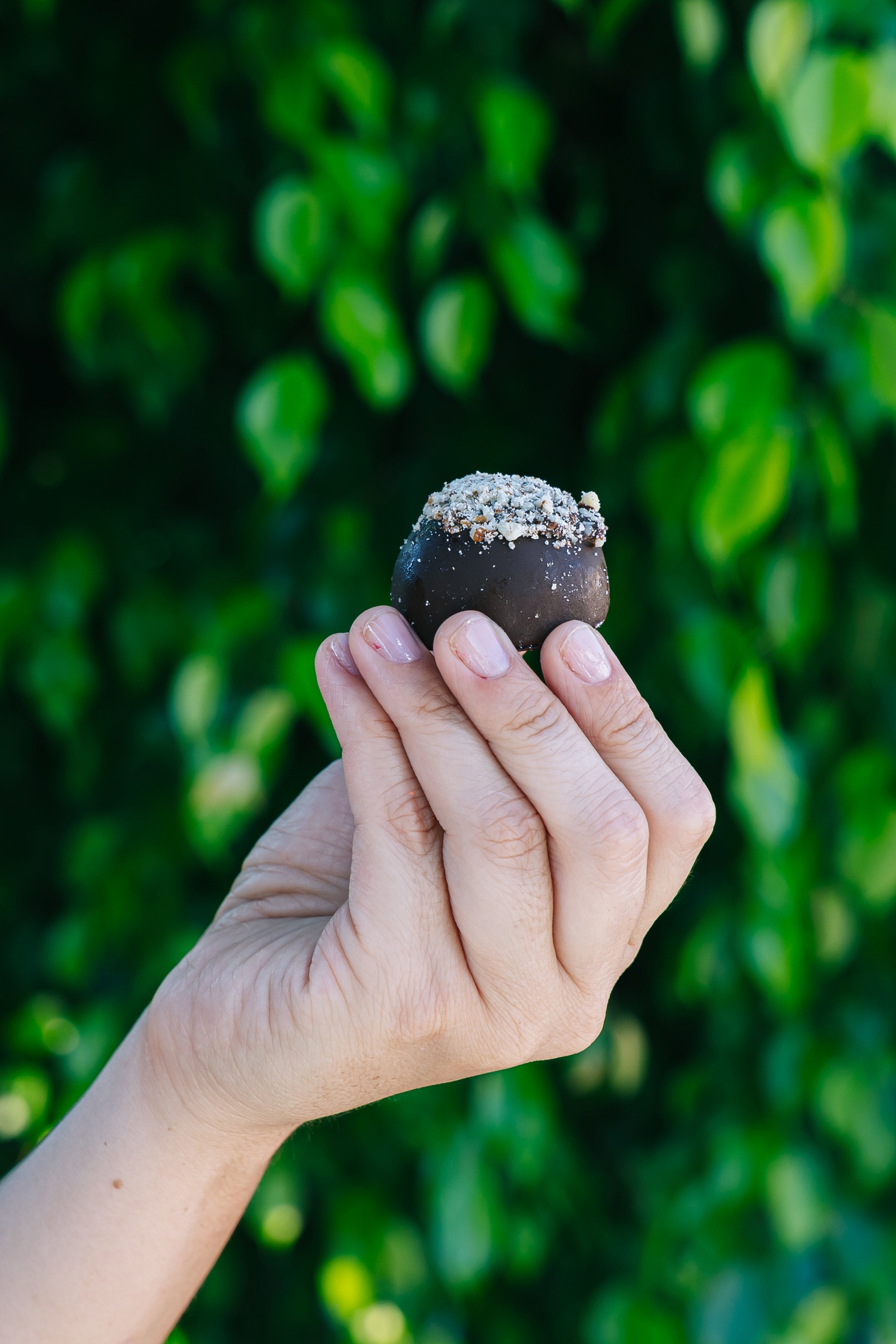 Bombones - HELADOS PATAGONIA